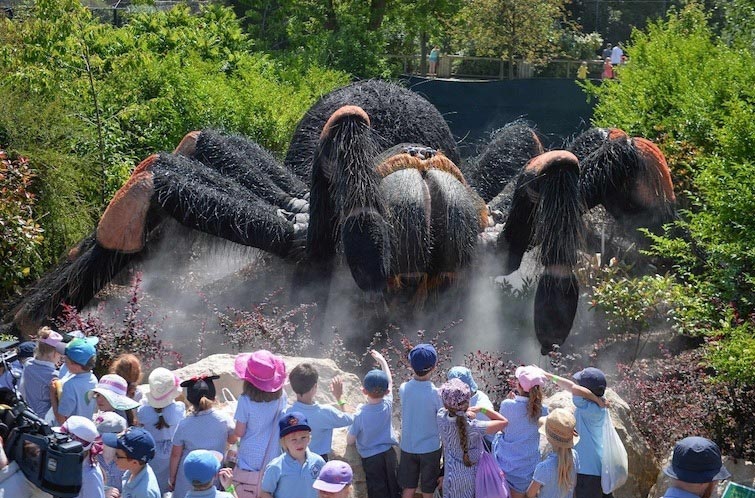 The Big Bug Expo George Event George Garden Route