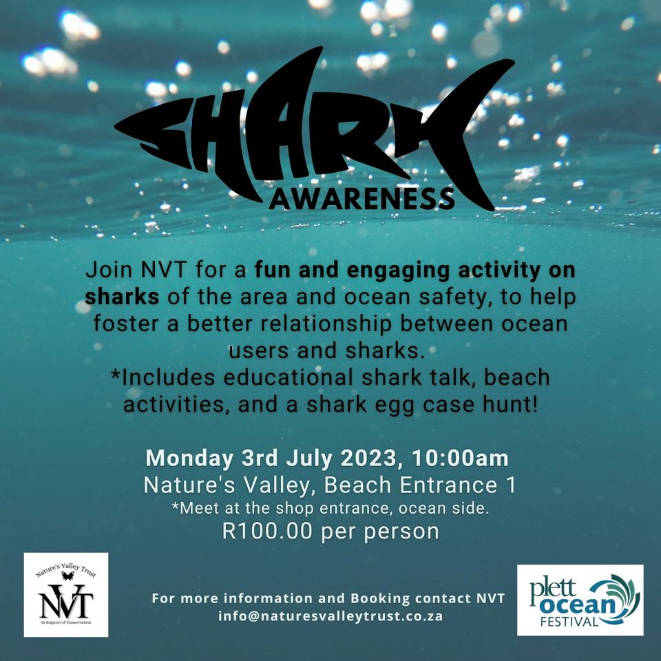 Shark Smart Educational Awareness and Activity Event Plettenberg Bay ...